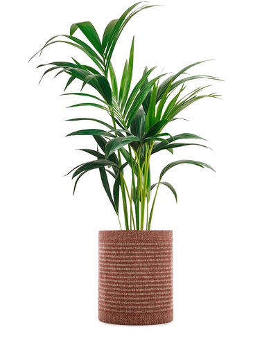 Furnishing Accessories | Kartell